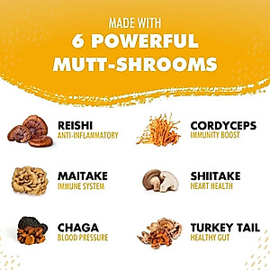 iHeartDogs Bone Broth for Dogs - Bone Broth & Mushroom Gold Powder Supplement for Immune System Support, Improved Mobility & Flexibility and Natural Detox - Turkey Tail Mushroom for Dogs