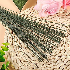 Floral Wire 26 Gauge, 100 Pcs Green Florist Flower Wire Stems Floral Wire for Crafts Bouquet Stem Wrapping Wreath Making Supplies Flower Arrangement Supplies (14 Inch)