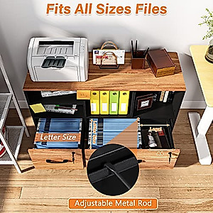semoic 2-Drawer Wood File Cabinet, Mobile Lateral Filing Cabinet with Adjustable Shelf&Lockable Wheels, Fits Files //F4/A4, Printer Stand with Open Shelves Office