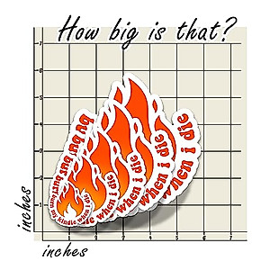 Miraki Burn My Kindle When I Die Sticker, Cute Bonfire Sticker, Kindle Sticker, Water Assitant Die-Cut Vinyl Stickers Decals for Laptop Phone Kindle Journal Water Bottles, Sticker for Women