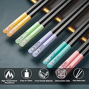 5 Pairs Fiberglass Reusable Chopsticks Dishwasher Safe, Slivek Premium 9.5inch Lightweight Non-slip Chopsticks, Japanese Chinese Korean Chop Sticks Gfit, Black