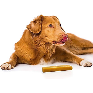 Dogscape chew-Himalayan Yak Chew, 11 oz (3 - Large Bars),100% Natural Vegetarian Yak Cheese Dental Bar, Protein & Calcium Rich Treat