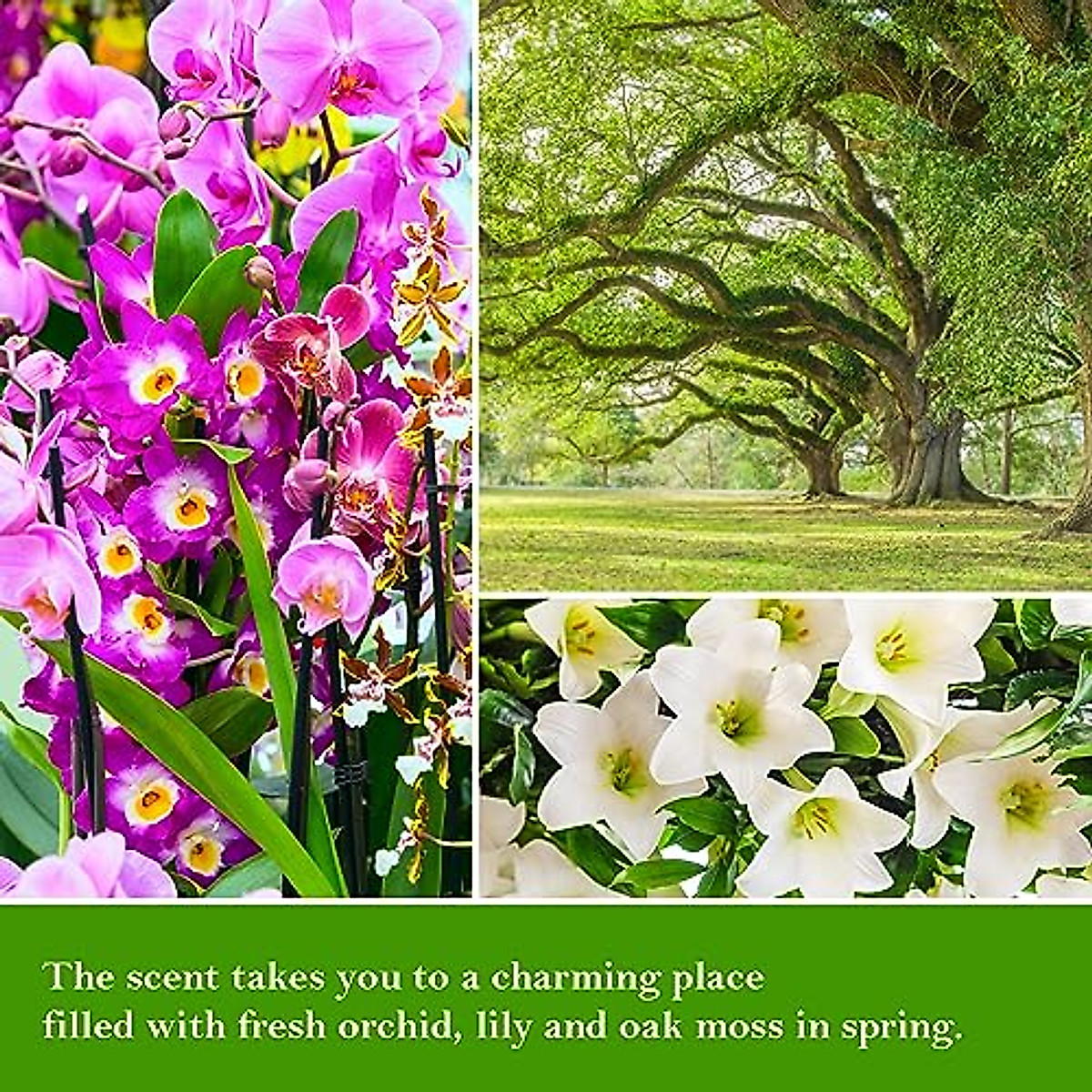 Retirement Gifts for Women, Retirement Gifts for Men, Happy Retirement Decorations, Funny Retirement Gifts for Coworker, Boss, Teacher, Nurse, Bestie, Dad, Mom Retired 2024, Scented Candles