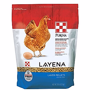 Purina Layena | Nutritionally Complete Layer Hen Feed Pellets | 10 Pound (10 lb) Bag