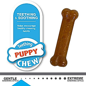 Nylabone Classic Puppy Chew Toy Twin Pack - Puppy Chew Toys for Teething - Puppy Supplies - Chicken & Peanut Butter Flavor, X-Small/Petite (2 Count)