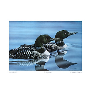 Loons Loon pair Artist Proof Signed Limited Edition Print from an original painting by Lawrence Dyer Signed Wildlife Bird Art Gift 19" x 13"