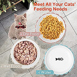 𝟮𝟬𝟮𝟯 𝐍𝐄𝐖 Anti Whisker Fatigue Cat Bowls, Healthy Ceramic Cute Flat Cat Food Bowl for Indoor Cats, Cat Dishes Shallow Wide Cat Plates for Wet Food, Small Whisker Friendly Pet Cat Feeding Bowls