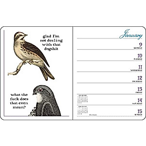 Effin' Birds 12-Month 2023 Monthly/Weekly Planner Calendar