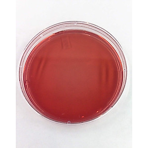 MacConkey Agar (MAC), (10-Pack), Pre-Poured, 15x100mm Petri Plates. Industry Use: Food Safety. for Dectection of E. Coli, Shigella, Salmonella.