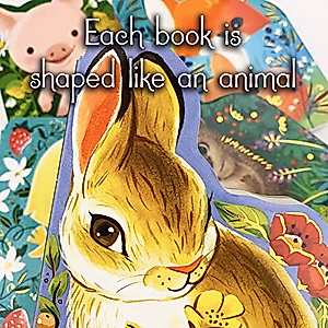 A Little Bunny - Children's Animal Shaped Board Book,