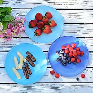 Youngever 8 Inch Plastic Plates, Small Plates, Salad Plates, Dessert Plates, Set of 9 (Coastal Color)