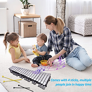 Sierjian 32 Keys Glockenspiel,Foldable Aluminum Xylophone for Adults, Percussion Instruments Kit for Children,Professional Educational Percussion Musical Instrument with 4 Mallets and Carrying Bag