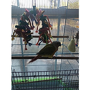 MEWTOGO Bird Parrot Wooden Toys, Multicolor Durable Bird Chewing Toy with Edible Coloring for Bird Cage Conures Cockatiels Foraging and Amazon Parrot Toys