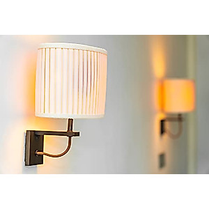 Bulbrite Incandescent T10 Medium Screw Base (E26) Light Bulb, 1 Count (Pack of 1), Clear