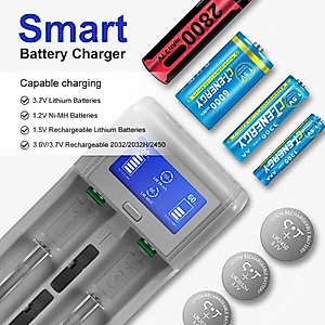 2450 Rechargeable Battery with Charger Smart Charging 3.7V Lithium Cells LIR2450 LIR2032 LIR2032H