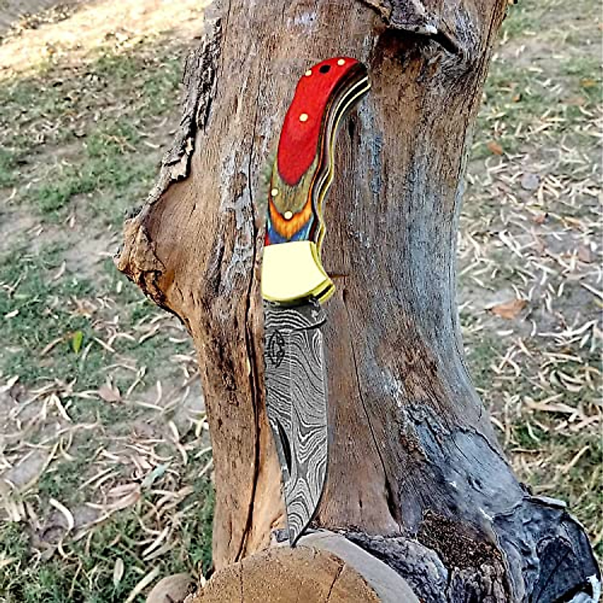 Multi Wood Unique Beautiful 6.5'' Custom Handmade Damascus Steel Brass Bolster Back Lock Folding Pocket Knife Sharpening Rod 100% Prime Quality Plus Beautiful Blue Wood Stainless Steel Pocket Knive