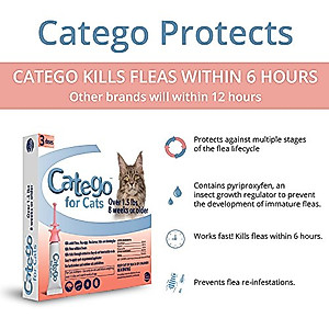 Catego Fast-Acting Flea and Tick Treatment For Cats/Kittens (Over 1.5 lbs) Kills Fleas Within 6 Hours, Prevents Flea Re-Infestations