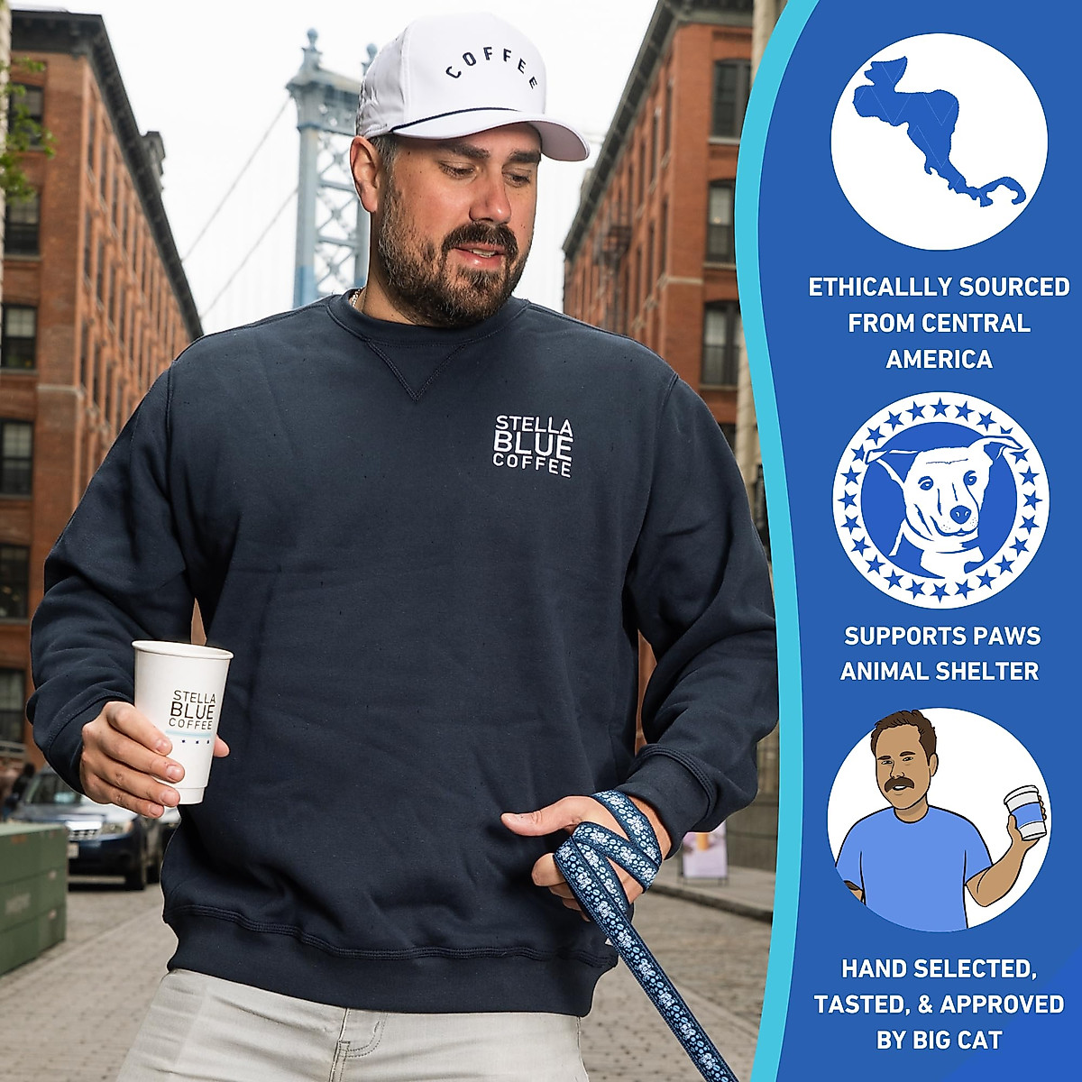 STELLA BLUE Fresh Cold Brew Coffee | Big Cat Blend | 100% Arabica MEDIUM Roast | Enriching Caramel & Hazelnut Notes & Sweet Fruitiness | Cold Brew for True Fanatics | 6 Packets to Make 24 Cups