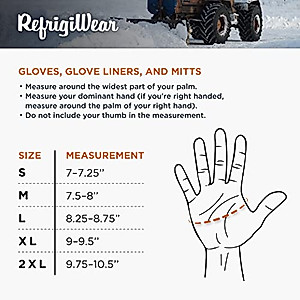 RefrigiWear Insulated Extreme Freezer Gloves, Winter Work Gloves with Touch-Rite Nib for Touchscreen, -30°F Comfort Rating (Black, Large)