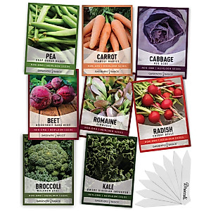 Gardeners Basics, Winter Fall Vegetable Seeds for Planting 8 Varieties Sugar Snap Pea, Carrot, Beet, Radish, Lettuce, Broccoli, Kale, Cabbage Seed Fall Vegetable Seeds Packs