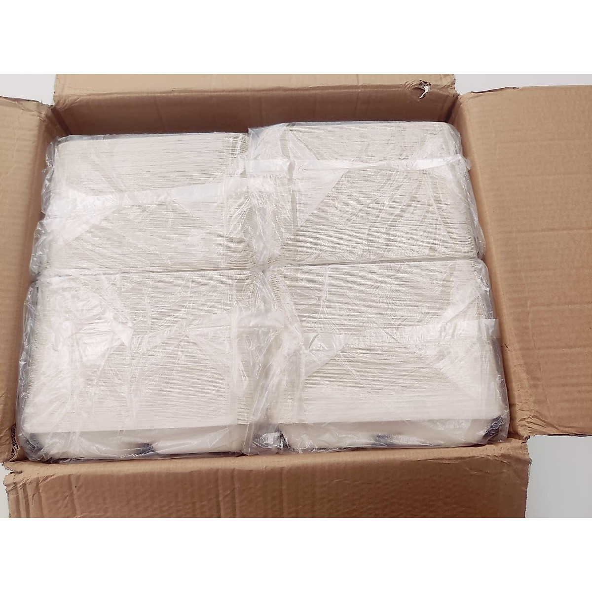 [500 Pack] 5 Compartment Trays, 100% Compostable Paper Plate tray, School Bagasse Lunch trays, Buffet, and Party, Disposable trays with 5 compartment, Biodegradable, Natural (4821011)