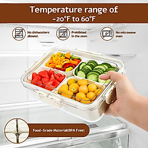 accep Snack Box Container,Divided Serving Rray with Lid,4 Compartment Snack Containers for Adults,Bento Box Adult Snackle Box Charcuterie Container for Candy,Fruits,Veggie,Perfect for Travel & Picnic