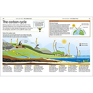 How to Be Good at Science, Technology, and Engineering (DK How to Be Good at)