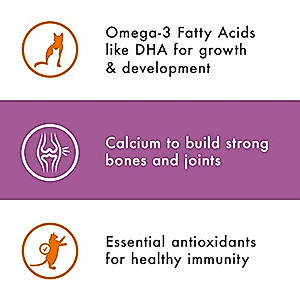 NUTRO WHOLESOME ESSENTIALS Natural Dry Cat Food, Kitten Chicken & Brown Rice Recipe Cat Kibble, 5 lb. Bag