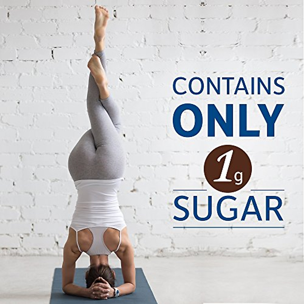 Garden of Life High Protein Bars for Weight Loss - Organic Fit Bar, Chocolate Fudge (12 per carton) - Burn Fat, Satisfy Hunger and Fight Cravings, Low Sugar Plant Protein Bar with Fiber