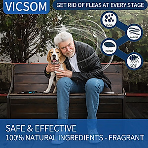 4 Pack Flea Collar for Dogs, Dog Flea and Tick Collar 8 Months Flea and Tick Prevention for Dog, Waterproof Adjustable Puppy Collar Natural Tick and Flea Collars for Small Medium Large Dogs, Grey