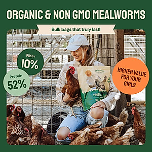 Hatortempt 5 lbs Non-GMO Dried Mealworms-High-Protein Mealworms for Wild Bird ,Chicken, Ducks,Fish,Reptile, Tortoise , Amphibian,Lizard