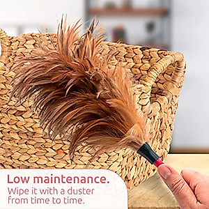 Compactor Caracas Water Hyacinth Storage Baskets, Handmade Large Wicker Basket For Laundry Bed Linen Towels, Wicker Baskets for Storage, Living Room Blanket Storage, Brown Basket - 18 x 11 x 11 inch