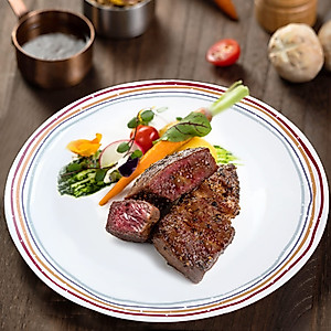 KITOECOFR 10.5" Dinner Plates Set of 6,Rainbow Glass Ceramic Plates,Lead-Free & Non-Toxic,Flat Stackable - Microwave,Oven & Dishwasher Safe