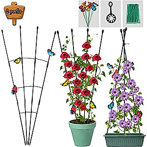 Garden trellis for climbing plants outdoor & indoor, Obelisk Trellis and tomato cage 2 shapes Rustproof plant support for indoor plants trellis for potted plants with 5pcs decorative butterfly (2Pack)
