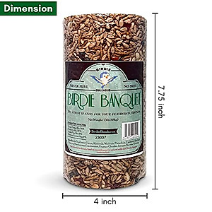 Birdie Blends Birdie Banquet Bugs, Nuts and Fruit Bird Seed 4" Cylinder for Wild Birds (2-Pack)