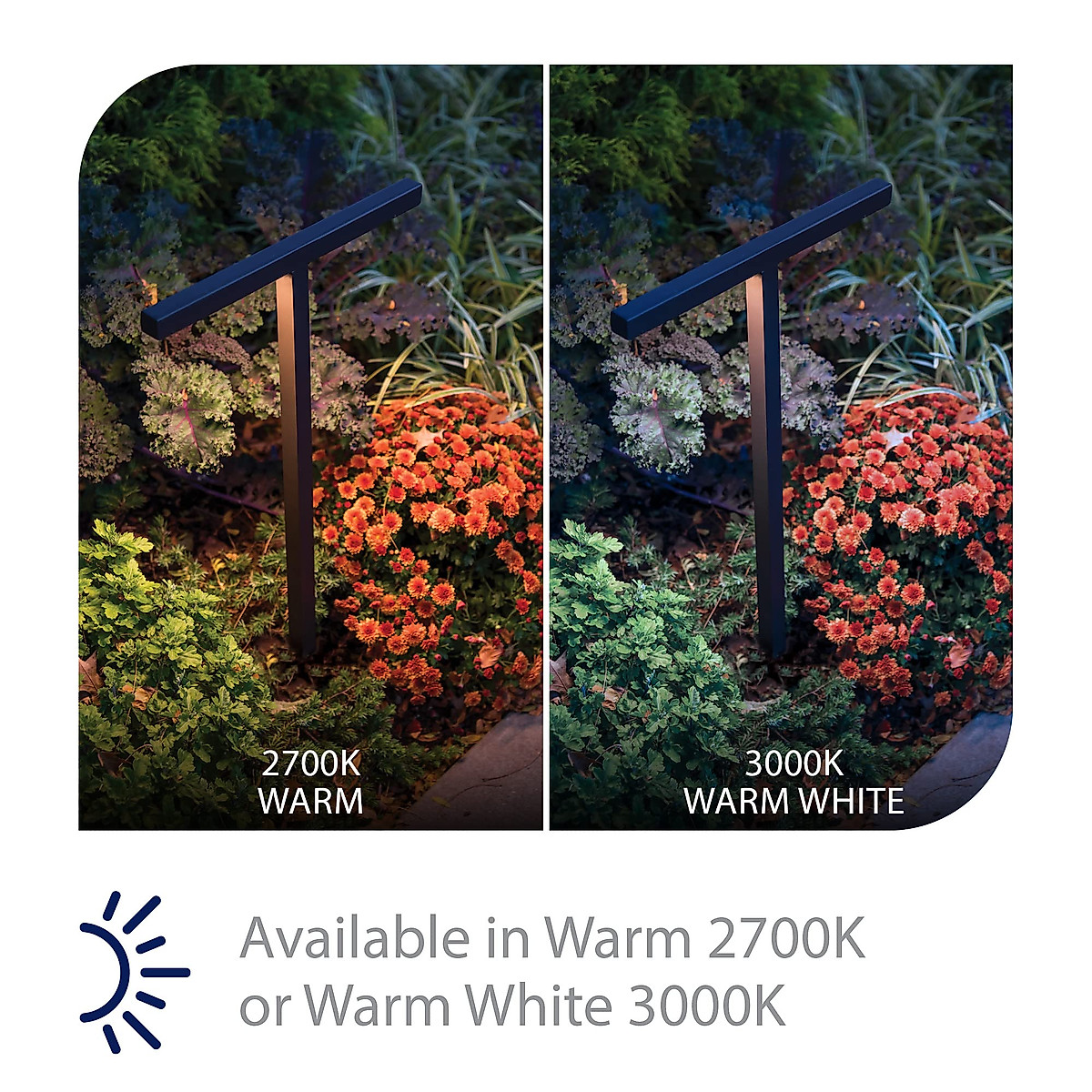 WAC Landscape Lighting, Balance LED 12V Path and Area Double Light 2700K Warm Built-in LED in Black