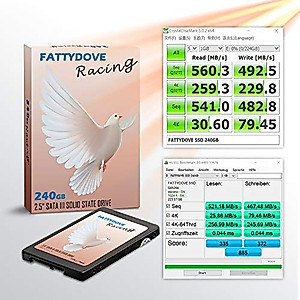FATTYDOVE 2.5 inch SSD 240GB Internal Drive SATA III 6 Gb/s Solid State Drive with SATA 3.0 Cable for 4K Video Game/PC (240GB SSD Drive)