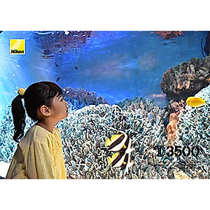 Nikon D3500 24.2MP DX-Format DSLR Digital Camera Double Zoom Lens Kit with 18-55mm f/3.5-5.6 and 70-300mm f/4.5-6.3 Lenses - (Japan Import)