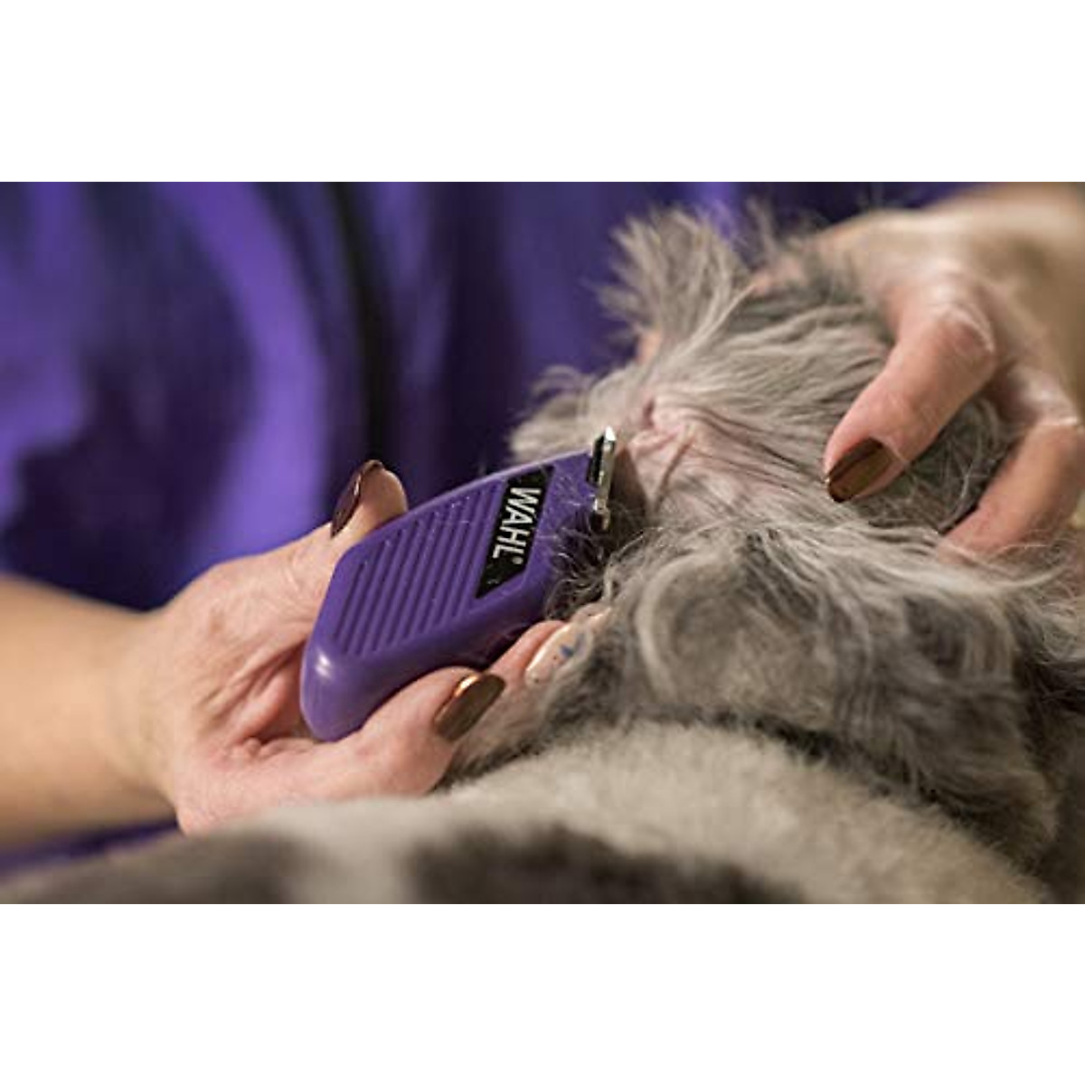 WAHL Professional Animal Pocket Pro Equine Compact Horse Trimmer and Grooming Kit, Purple (#9861-930)