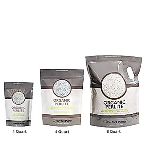 Organic Perlite by Perfect Plants — Add to Soil for Indoor & Outdoor Container Plants for Drainage Management and Enhanced Growth (8qts.)