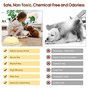 Flea Traps for Inside Your Home, 2 Pack Flea Trap Light with 4 Sticky Discs & 6 Bulbs, Shell Shape Electric Flea Killer Bed Bug Trap, Natural Indoor Pest Control Trap for Home, Safe to Pet & Child