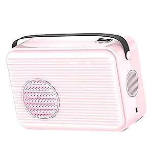 Mini Clothes Dryer, Rapid Heating Mini Dryer Efficient for Home for Travel (Lotus Root Color and Clothes Drying Bag)