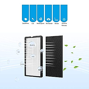 XD6065 Activated Carbon & XD6075 True HEPA Replacement Filter, Compatible with Rowenta PU4020 Intense Pure Air Purifiers, 1 Carbon Odor Eliminator & 1 True HEPA Allergen Remover