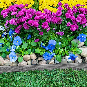 EasyFlex Tall Wall No-Dig Landscape Edging with Anchoring Spikes, 2.5 in. Tall Straight Top Plastic Garden Border with Woodgrain Texture, 40 Foot Kit, Gray (3220GYE-40C)