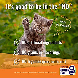 Vital Essentials Freeze Dried Cat Food, Chicken Mini Nibs 12 oz