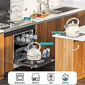 RETTBERG Tea Kettle for Stovetop Whistling Tea Kettles Retro Black Stainless Steel Teapots, 2.64 Quart (Cream)