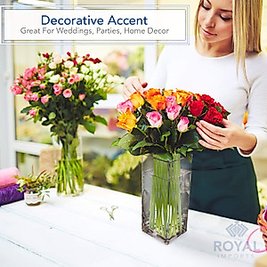 Royal Imports Flower Glass Vase Decorative Centerpiece for Home or Wedding - Tall Rectangle Shape, 12" Tall, 5"x5" Opening