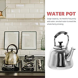 STOBAZA Whistling Tea kettle for Stove Top, Whistling Stovetop Teapot with Infuser, Gooseneck Pour Over Coffee Kettle, Food Grade Stainless Steel Teakettle Tea Pot, Water Boiler, 3L