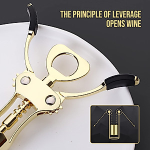 Drincarier Wine Opener, Zinc Alloy Premium Wing Corkscrew Wine Bottle Opener with Multifunctional Bottles Opener, Upgrade (Gold Opener With Foil Cutter)