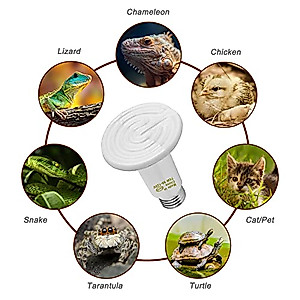 WUHOSTAM 2 Pack 75W White Ceramic Heat Lamp with 1-pcs Digital-Thermometer,Infrared Bulb Emitter Lamp Infrared Bulb for Pet Brooder Coop Chicken Lizard Turtle Snake Aquarium ETL Listed